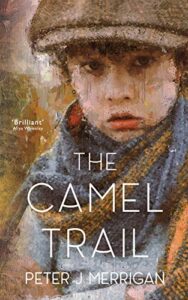 Review of The Camel Trail by Peter J Merrigan - Best Book Editors
